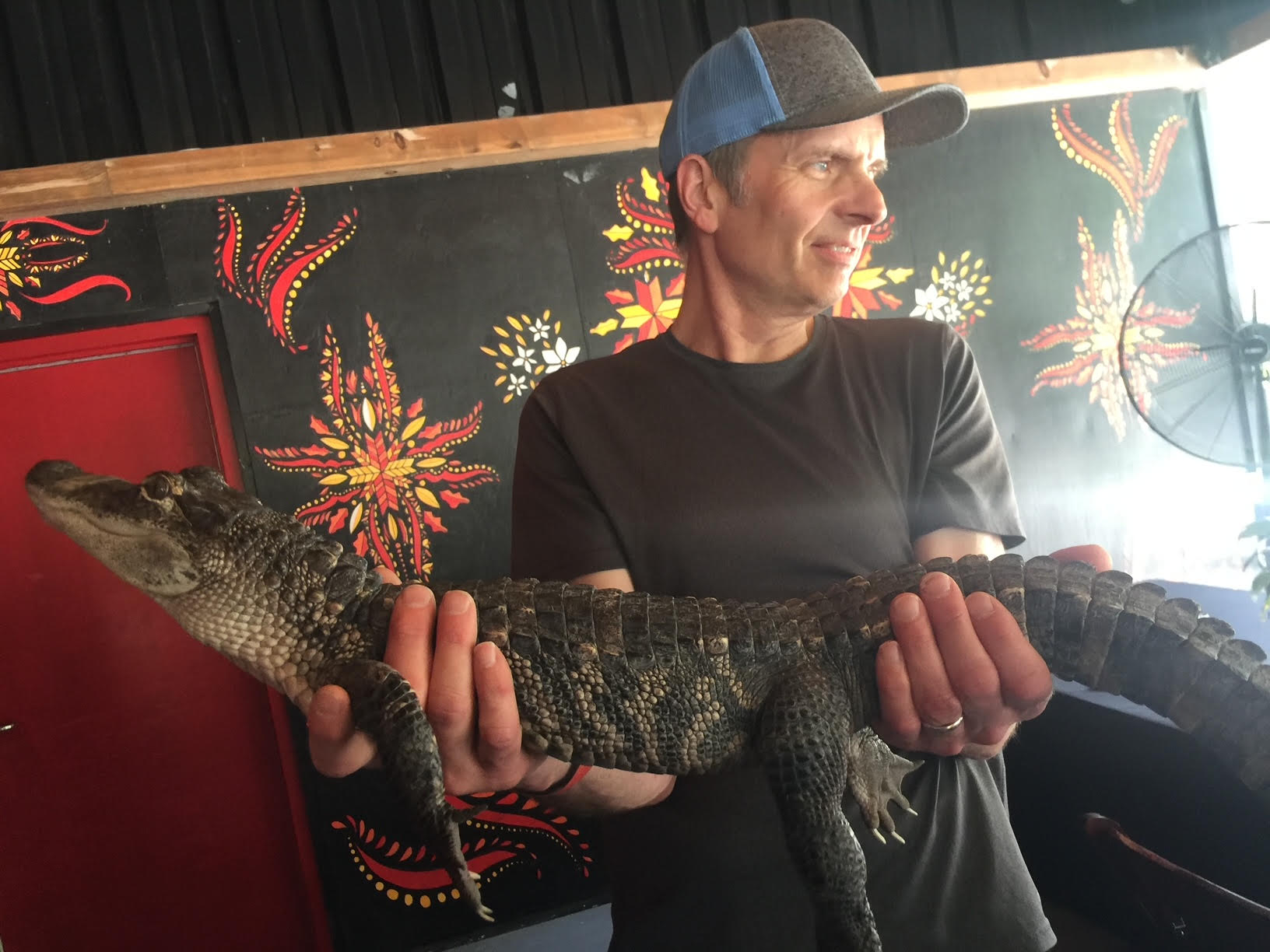 Natalie Merchant Returns to the Road - Mixonline