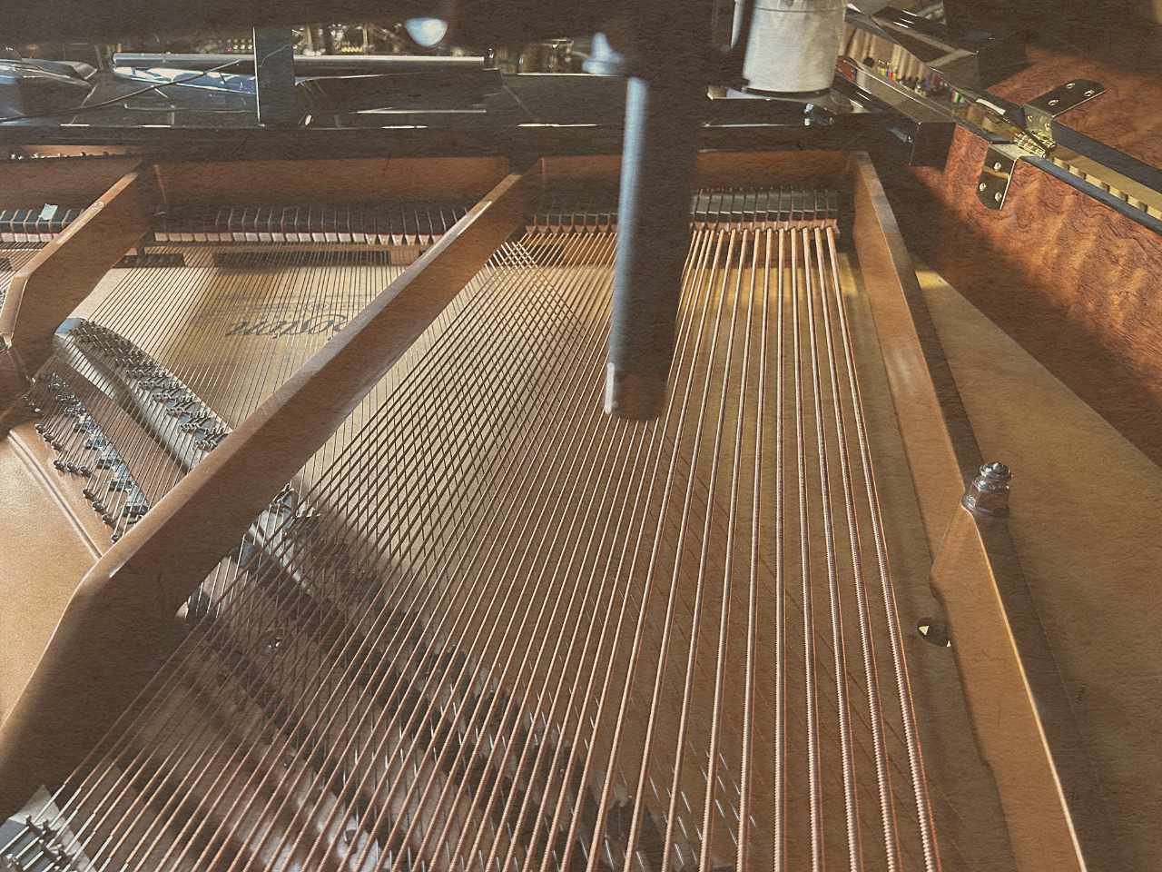 BAFTA Award-Winning Composer/Producer Jason Graves Launches Sulcata ...